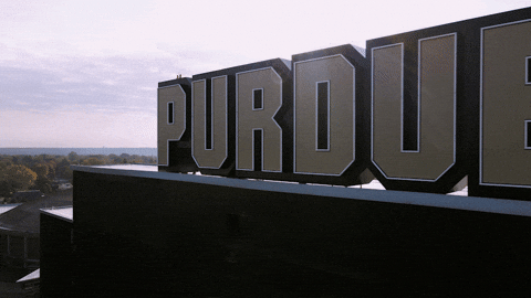 Purdue GIFs - Get the best GIF on GIPHY