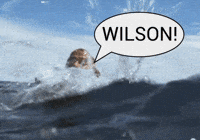 Cast Away Wilson Gif