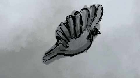 Kurds GIFs - Get the best GIF on GIPHY
