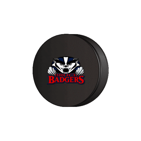 Steel Blade Classic by Brock University | GIPHY