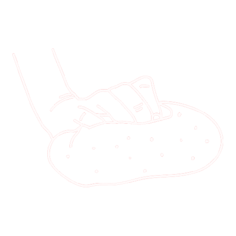 Conchas Tomasa Sticker for iOS & Android | GIPHY