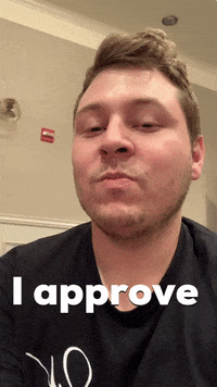 I Approve This Post Gif