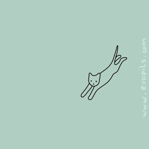 Sleep-now GIFs - Get the best GIF on GIPHY