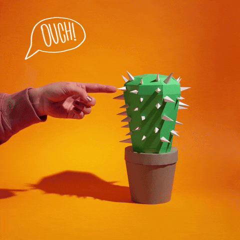 Poke A Cactus GIFs - Get the best GIF on GIPHY