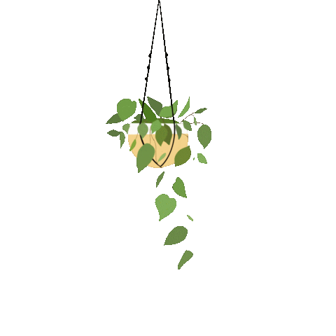 Plant Sticker for iOS & Android | GIPHY