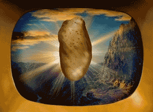 Holy Book GIFs - Get the best GIF on GIPHY