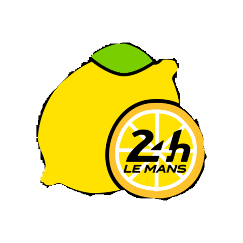 Le Mans GIFs on GIPHY - Be Animated