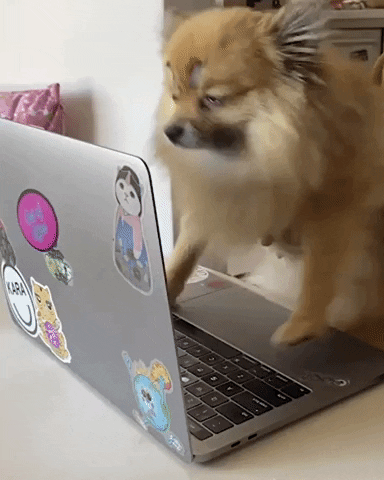 Frustrated Computer User Gif