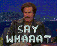 Say Whaaat Gif