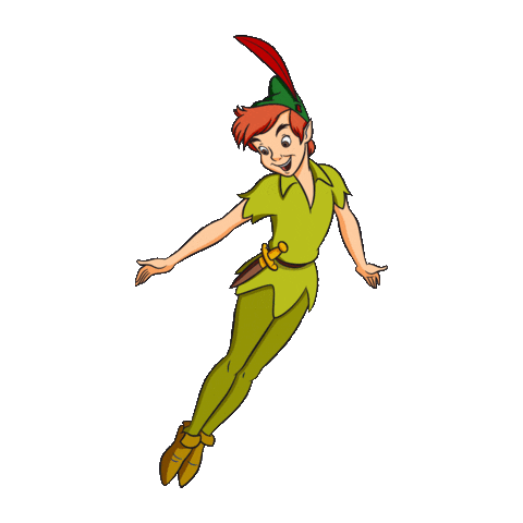 Disney Peter Pan Flying