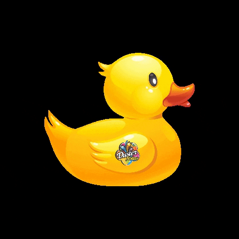 Duster Festas Oficial GIFs on GIPHY - Be Animated