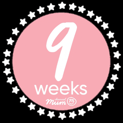 Pregnancy Week By Week GIFs - Get the best GIF on GIPHY