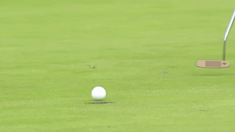 Putting Daniel Gaunt GIF by PGA EuroPro Tour - Find & Share on GIPHY