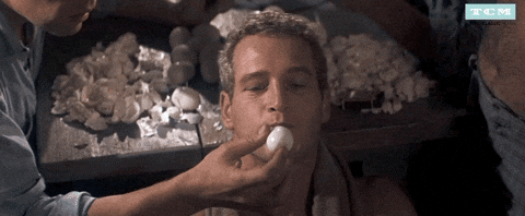 Paul Newman Eating GIF by Turner Classic Movies - Find & Share on GIPHY