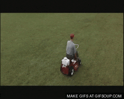 Grass GIFs - Find & Share on GIPHY