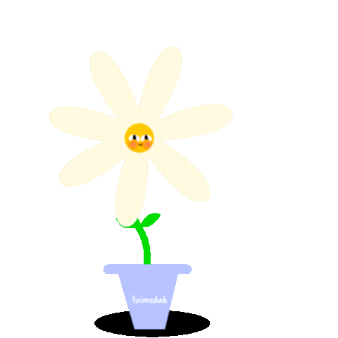 Animated Dancing Flowers Gif
