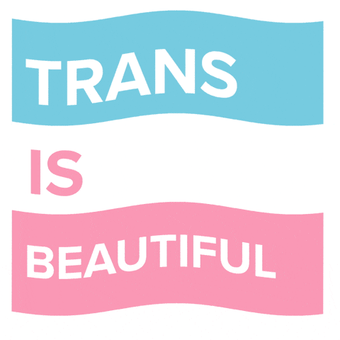 Proud Trans Day Of Visibility GIF by TINDER - Find & Share on GIPHY