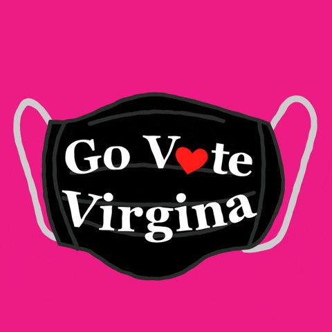 Voting in Virginia? Here Are 12 GIFs Just For You. by GIPHY News | GIPHY