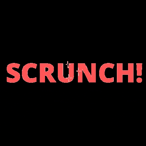 SCRUNCH! GIFs on GIPHY - Be Animated