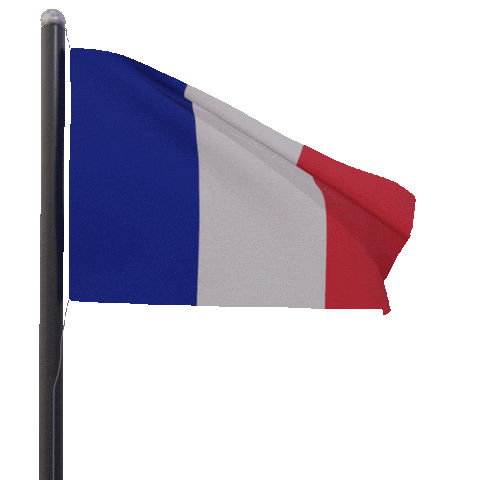 French Flag Waving Animation