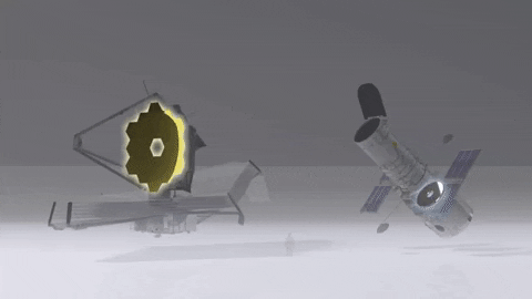 Size-comparisons GIFs - Get the best GIF on GIPHY