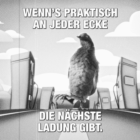 Swift Bird GIFs - Get the best GIF on GIPHY