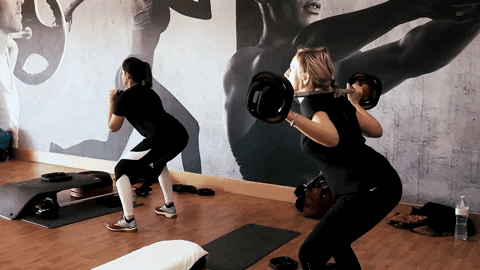 Antwerp-gym GIFs - Get the best GIF on GIPHY