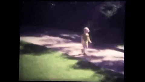 Not-the-brightest GIFs - Get the best GIF on GIPHY