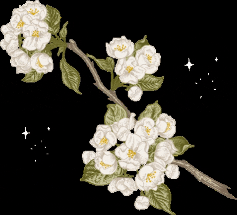 Pumadimaz GIFs - Get the best GIF on GIPHY