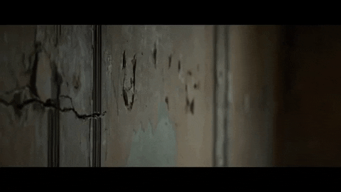 Rosie Lowe Birdsong GIF - Find & Share on GIPHY