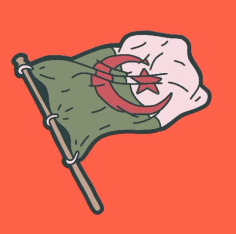 213 GIFs - Get the best GIF on GIPHY