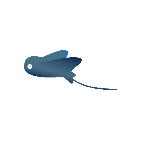 Transparent Fish Gif