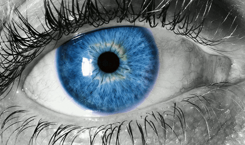 Eye Iris GIF - Find & Share on GIPHY