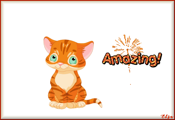 Cats Fireworks GIF - Find & Share on GIPHY