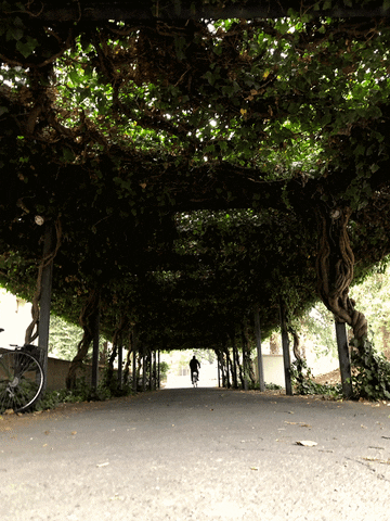 Aggie Bikes GIFs - Get the best GIF on GIPHY