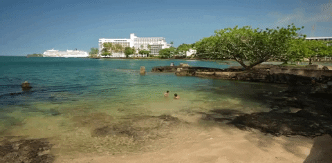 Hawaii Beach Wedding GIFs - Get the best GIF on GIPHY