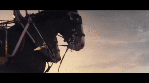 Wind Field GIFs - Get the best GIF on GIPHY