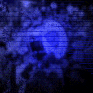 Los Rayados GIFs - Get the best GIF on GIPHY