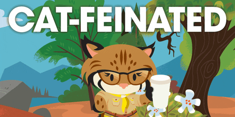 Cat Wild GIFs - Get the best GIF on GIPHY