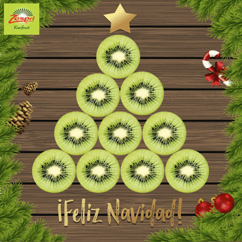 Kiwi-pumpkin GIFs - Get the best GIF on GIPHY