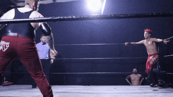 German Suplex GIFs - Find & Share on GIPHY