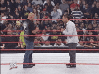 Stone Cold Stunner Gif