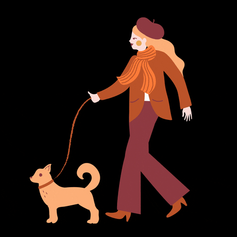 Dog Walking Animated Gif