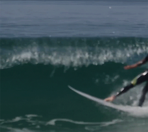 Action Sports Surfing GIF by World Surf League - Find & Share on GIPHY