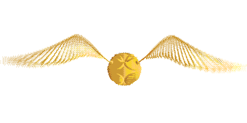 Harry Potter Quidditch Sticker by Warner Bros. Studio Tour London for ...