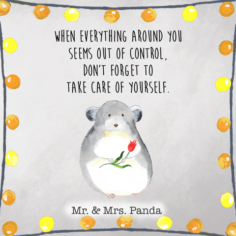 Chinchillas GIFs - Get the best GIF on GIPHY