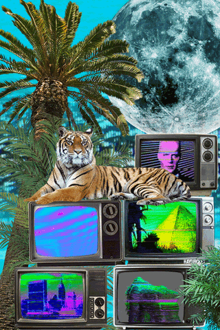 vhs remix | Tag | PrimoGIF