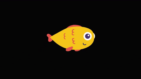 Minno GIF - Find & Share on GIPHY