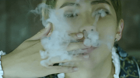 Blood Sweat GIFs - Get the best GIF on GIPHY