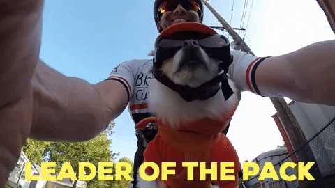 Bike-packing GIFs - Get the best GIF on GIPHY